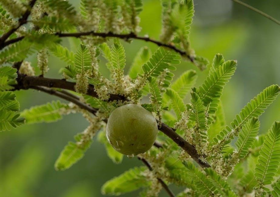 SIDA Badge Test Questions & Answers PDF | Free Study Guide